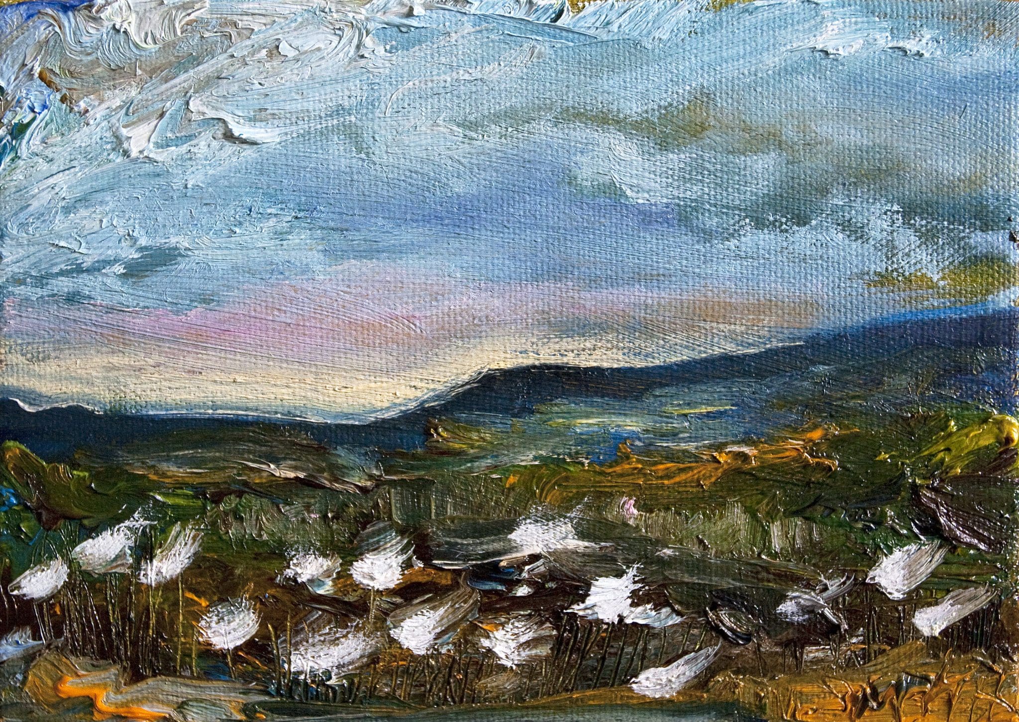 Bog Cotton | Sinéad Smyth | Artist