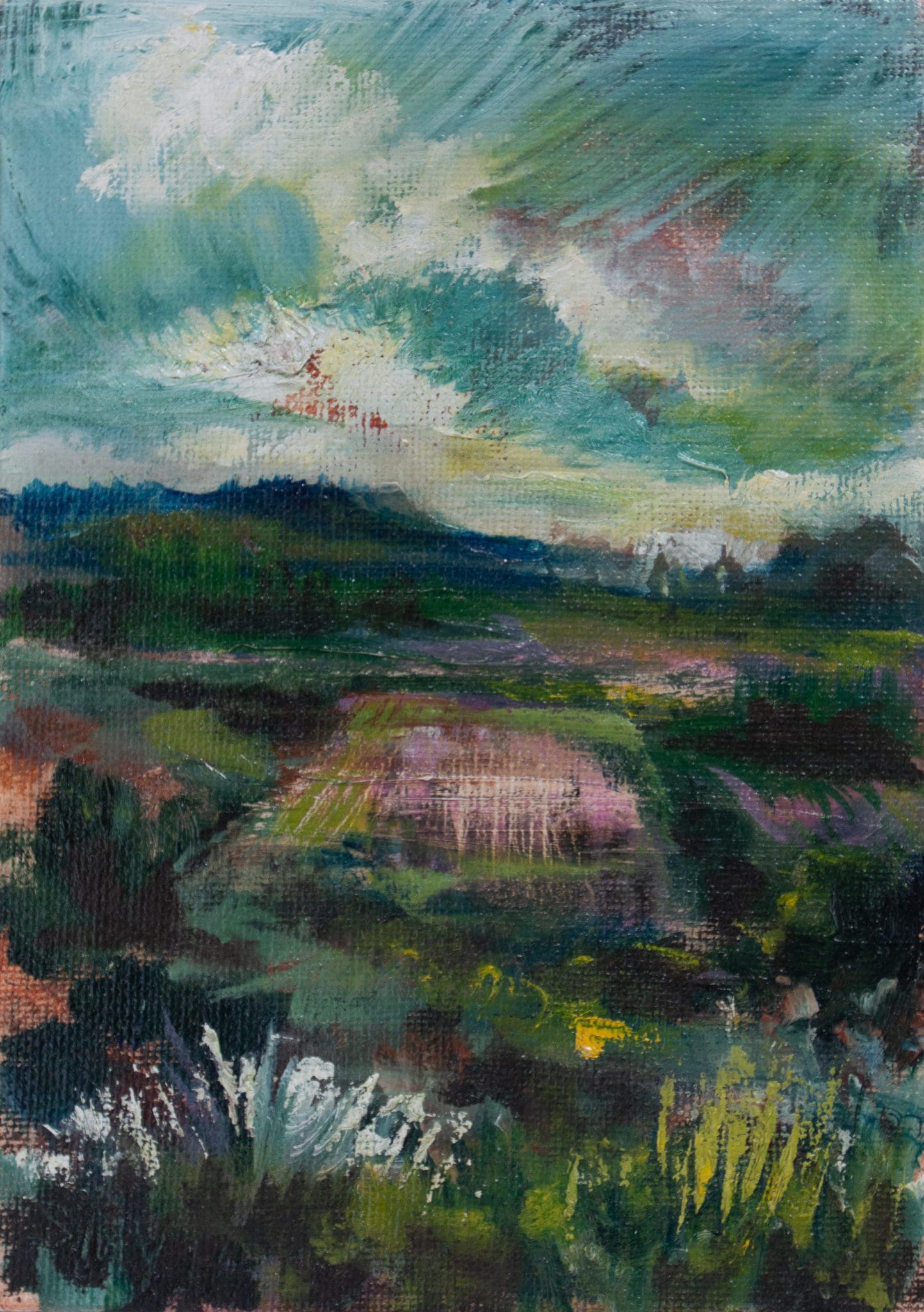 Land lore | Sinéad Smyth | Artist